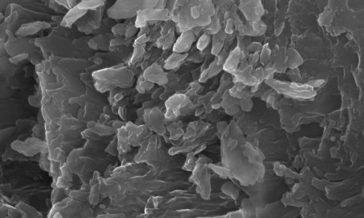 Leica EM VCT500 - 현미경 및 비파괴 검사기 전문 (주)와이에스피