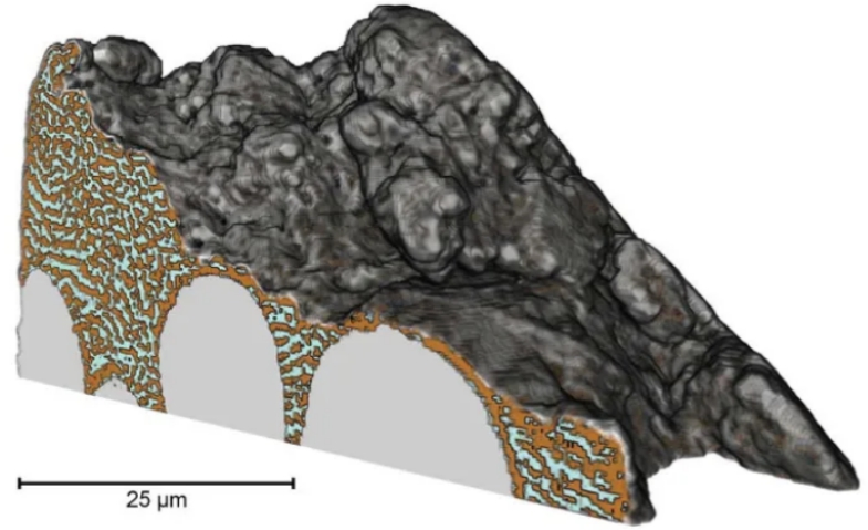 ProCon CT-NANO - 현미경 및 비파괴 검사기 전문 (주)와이에스피